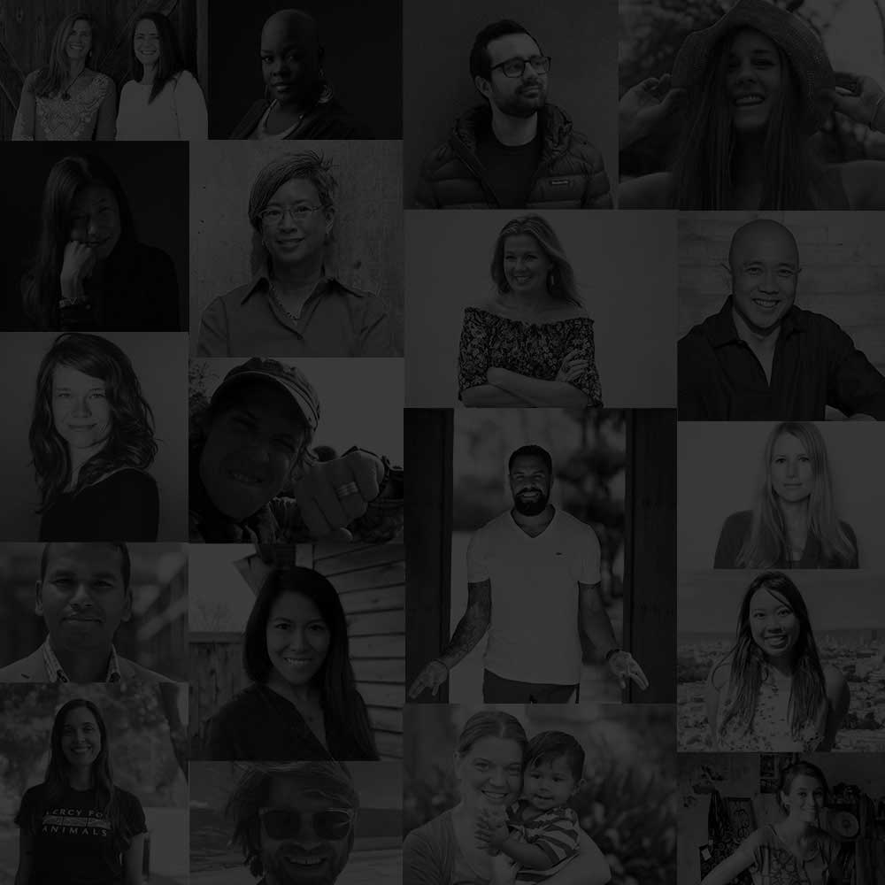 Change Creator: Your Ecommerce Growth Partner